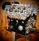 Toyota 3.4L Long Block 5VZFE 8/94-9/04 - Sunwest Automotive Engine
